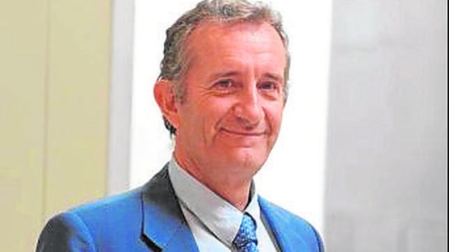 Ignacio Martín: «Sin parques nuevos, el orgullo por la eólica en España ...