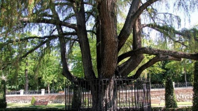 La bronca por el ángel caído, John Wayne y otras cosas que no sabías de ...