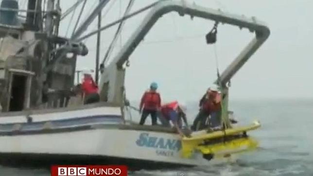 Un robot «surfista» para conocer mejor la fauna marina