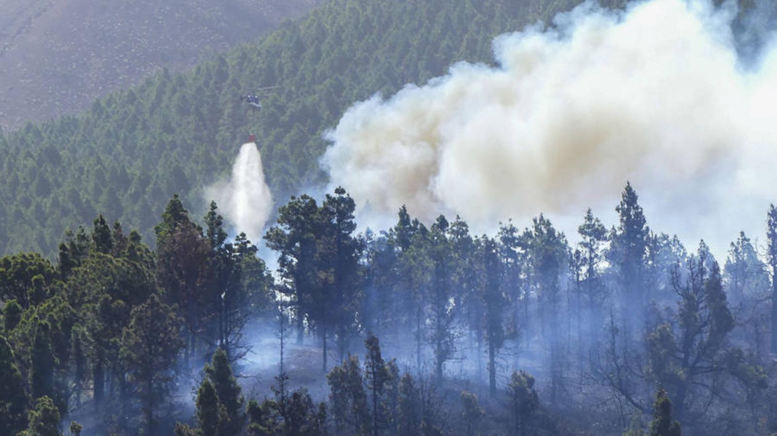 En imágenes: el incendio de La Palma, lleno de trampas, ha quemado ya 1 ...
