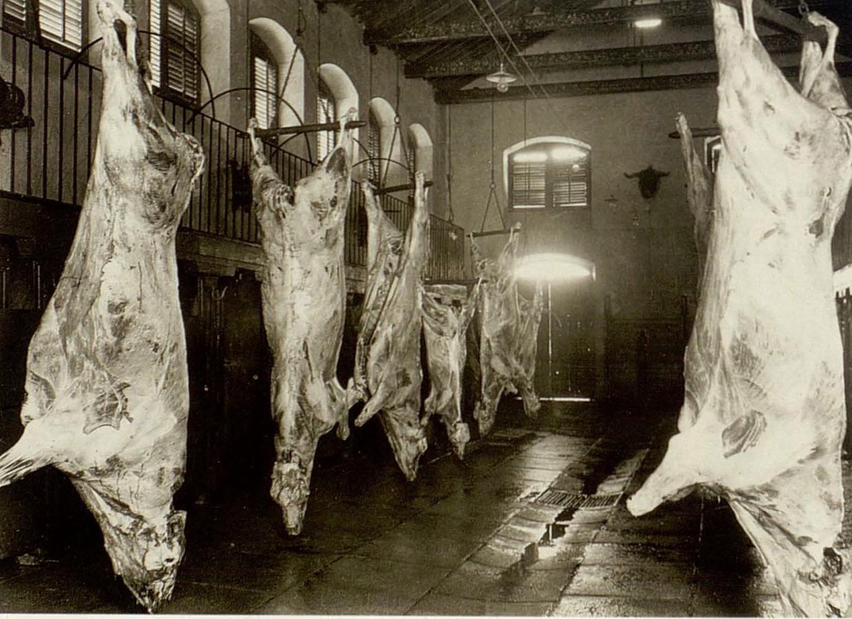 Despojos de las reses en el matadero | jaimesegundo.es