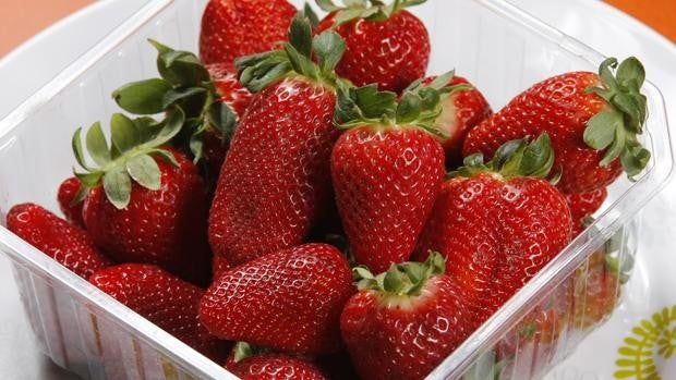 Fresón: sus diferencias con la fresa y cuáles son sus beneficios