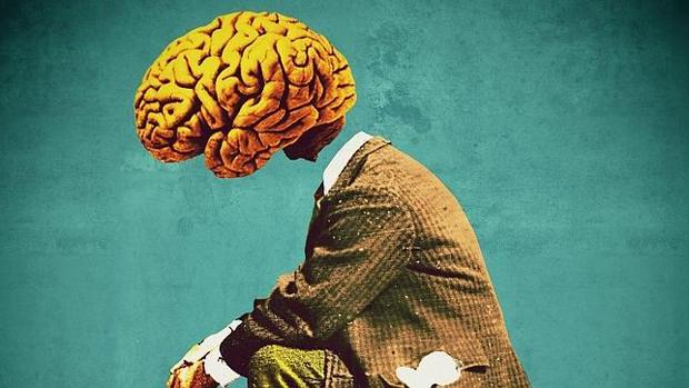 ¿Por qué el cerebro humano está arrugado?