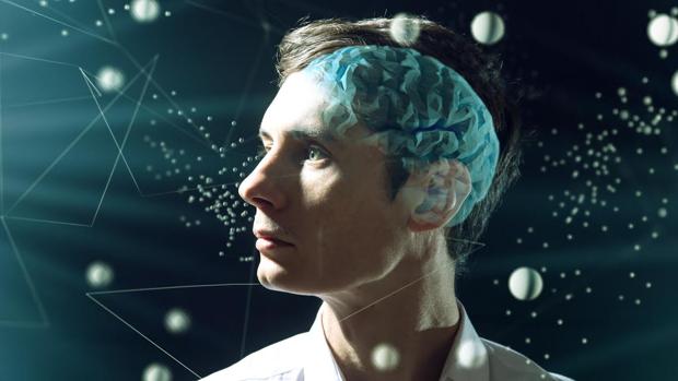 ¿Dónde está y para qué sirve el cuerpo calloso?