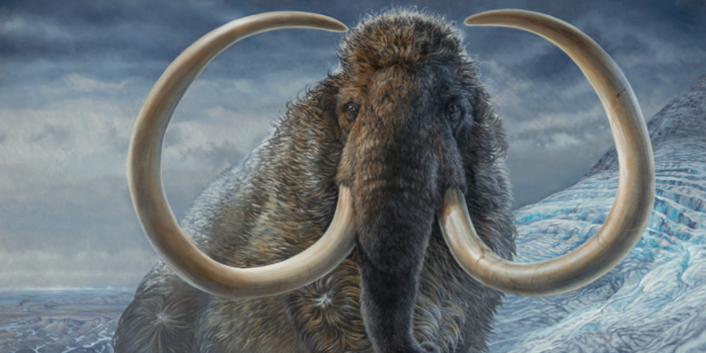 La odisea del mamut lanudo que vivió hace 17.000 años en Alaska