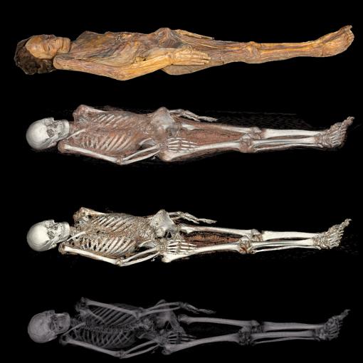 El viaje al Más Allá de los xaxos canarios, tras los últimos secretos ...