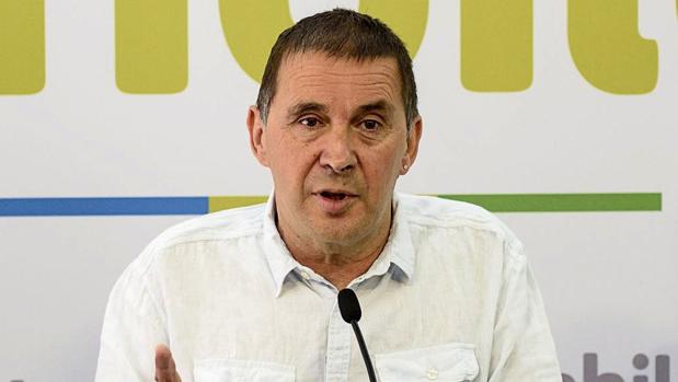 Los líderes de Unidos Podemos ven la inhabilitación de Otegui como «una ...