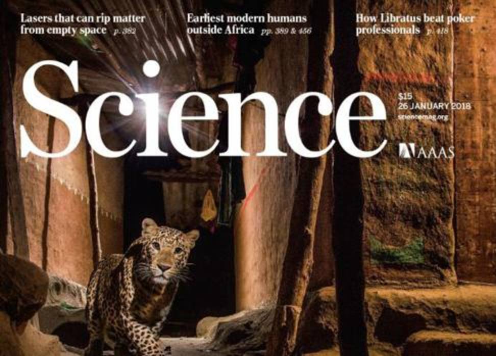 Una investigació de la Universitat de València, portada de la revista ...