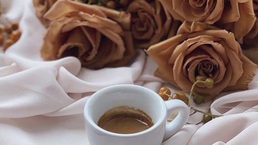 Las mejores flores para decorar tu casa en otoño